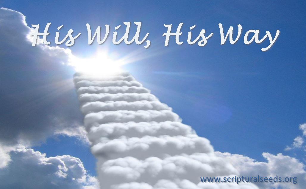 September 1st 2016 – His Will, His Way | Scriptural Seeds Ministries