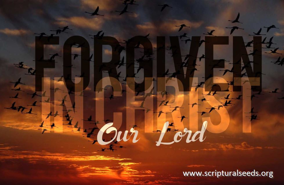 October 13th 2016 – Forgiven in Christ our Lord! | Scriptural Seeds ...