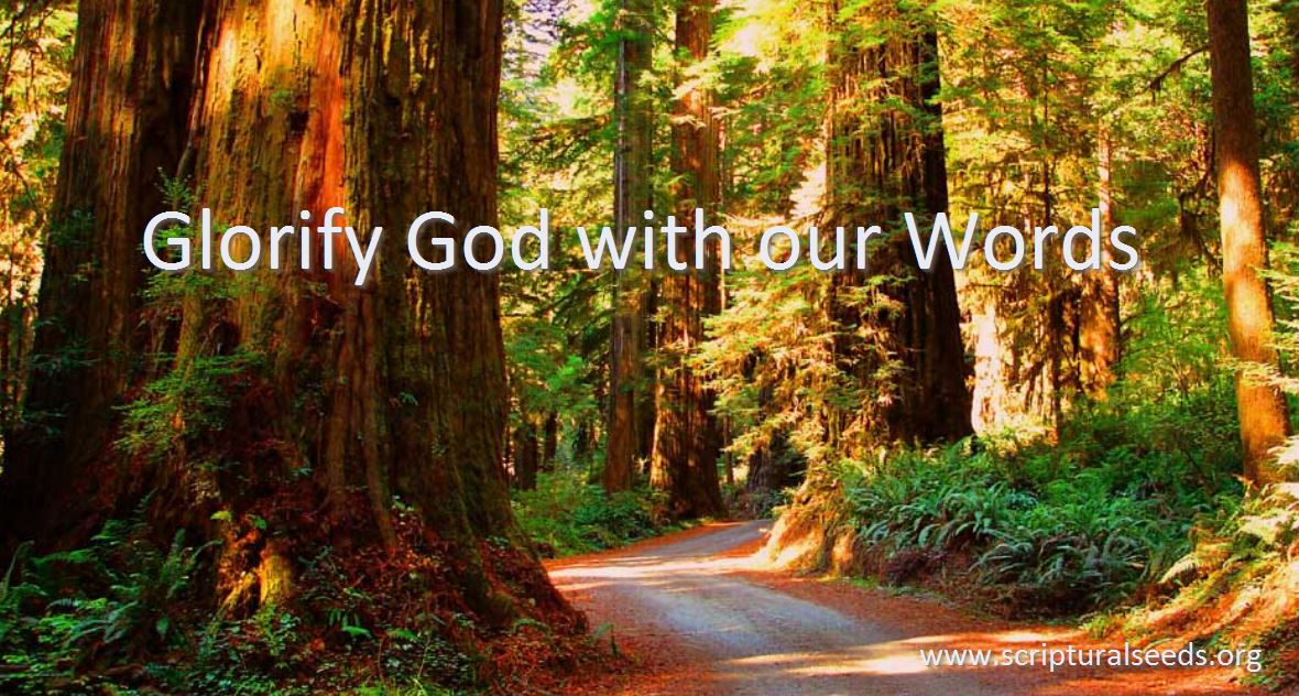 October 18th 2016 – Glorify God With Our Words | Scriptural Seeds ...