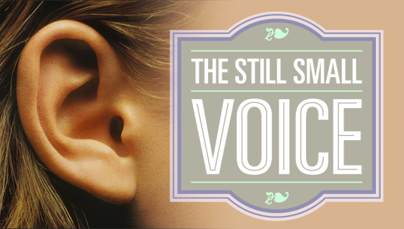 January 9th 2017 – Still Small Voice | Scriptural Seeds Ministries