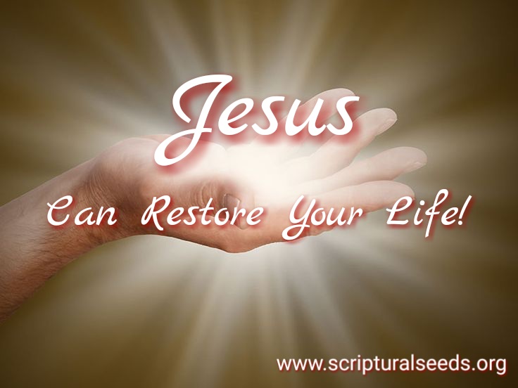 December 29th 2017 – Jesus Can Restore Your Life | Scriptural Seeds ...
