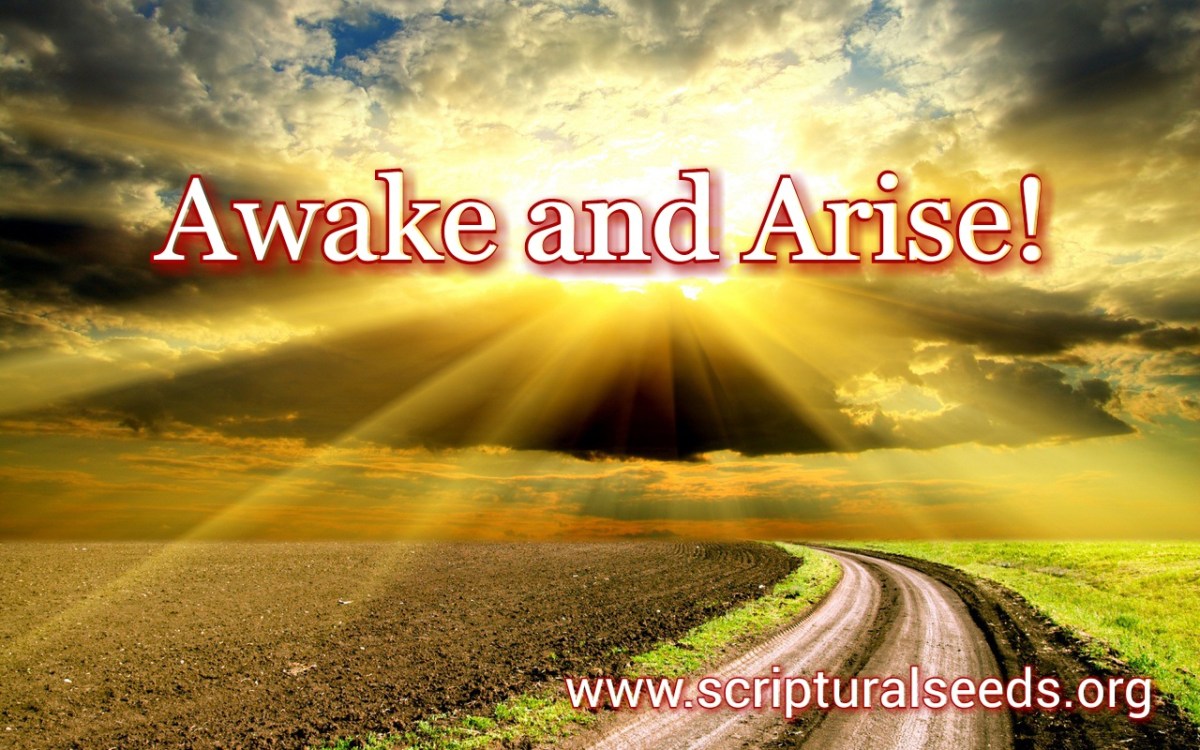 June 1st 2018 – Awake and Arise! | Scriptural Seeds Ministries