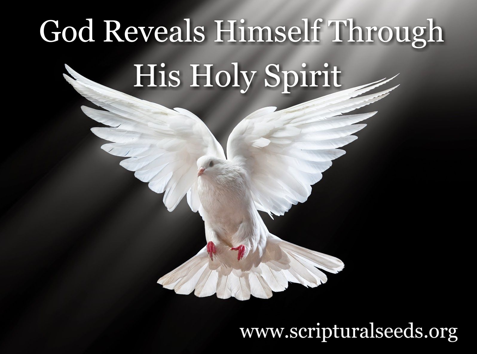 June 6th 2018 – God Reveals Himself Through His Holy Spirit ...