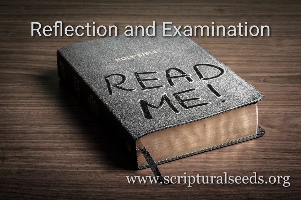 August 6th 2018 – Reflection and Examination | Scriptural Seeds Ministries