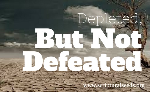 November 26th 2018 – Depleted, But Not Defeated | Scriptural Seeds ...