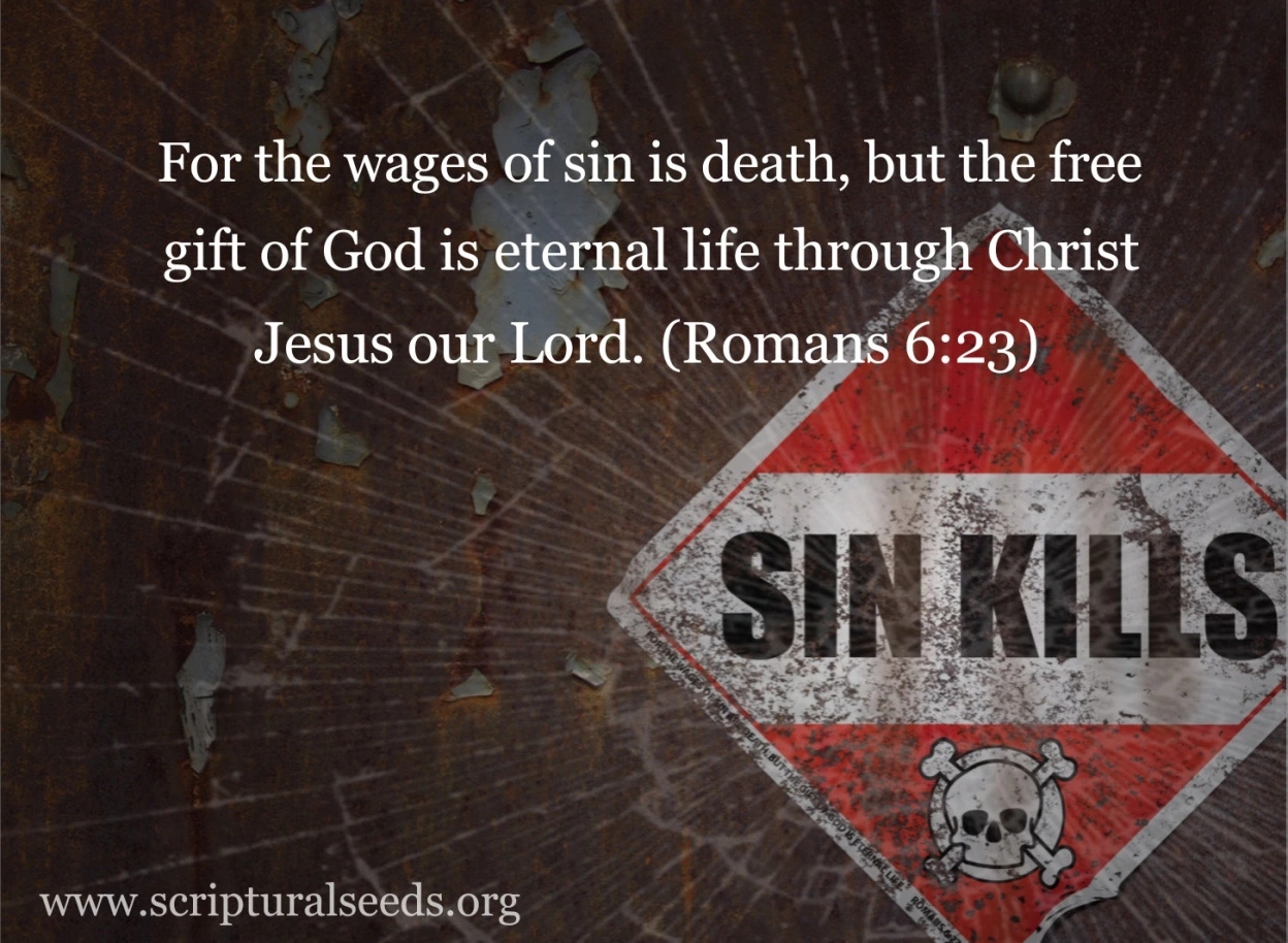 January 9th 2019 – Sin Kills | Scriptural Seeds Ministries