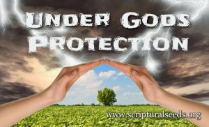 January 13th 2019 – Under Gods Protection | Scriptural Seeds