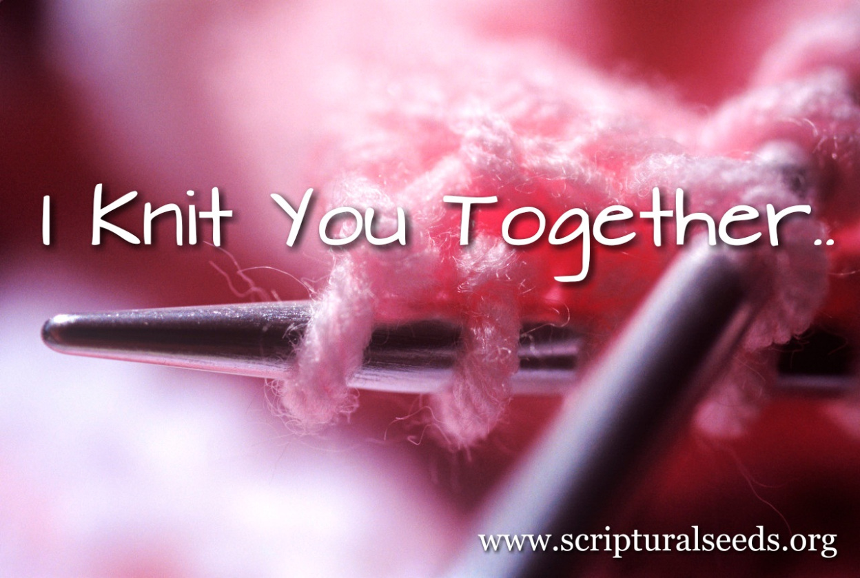 May 19th 2019 – I Knit You Together | Scriptural Seeds Ministries