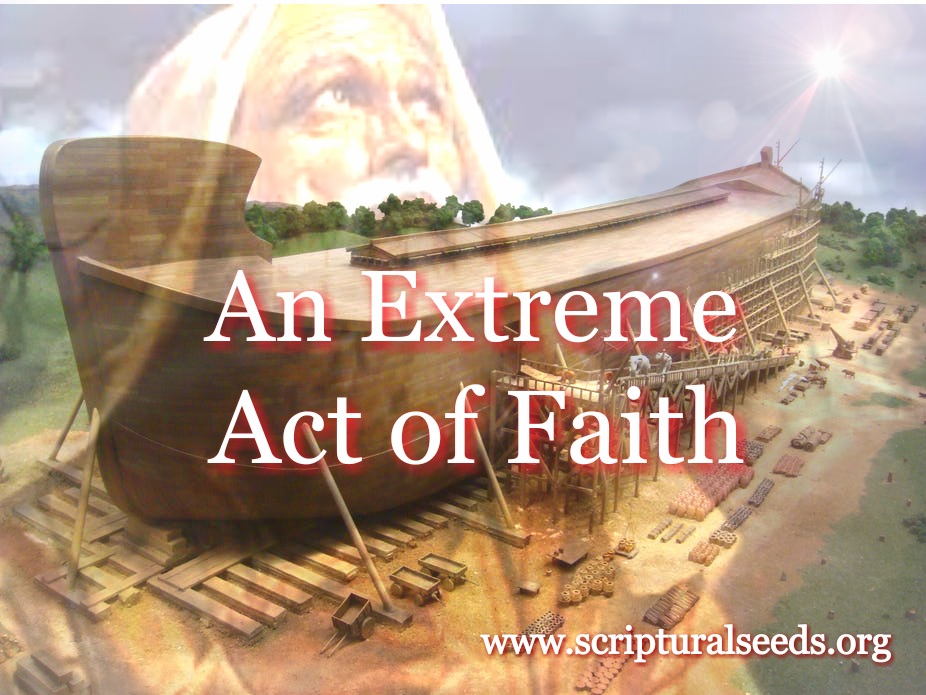 June 9th 2019 – An Extreme Act of Faith | Scriptural Seeds Ministries