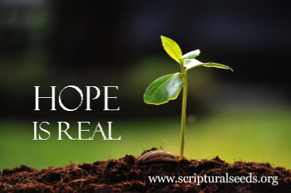 July 3rd 2019 – Hope Is Real | Scriptural Seeds Ministries