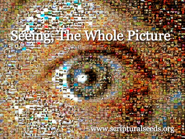 Seeing The Whole Picture | Scriptural Seeds Ministries www ...
