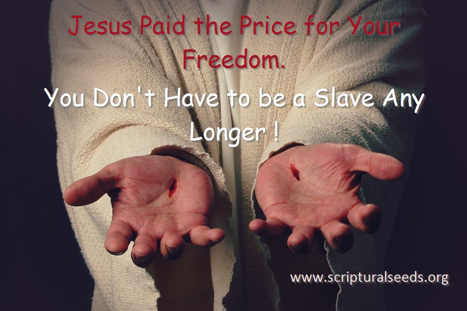 August 19th 2019 – Jesus Paid the Price, Come to Jesus and be Free ...