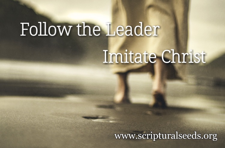 August 23rd 2019 – Follow the Leader, Imitate Christ | Scriptural Seeds ...