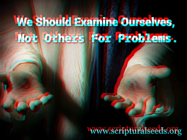 January 23rd 2020 – We Should Examine Ourselves | Scriptural Seeds ...