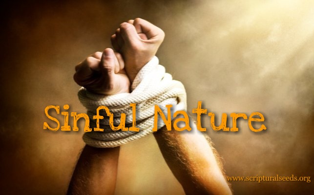 February 24th 2020 – Our Sinful Nature | Scriptural Seeds