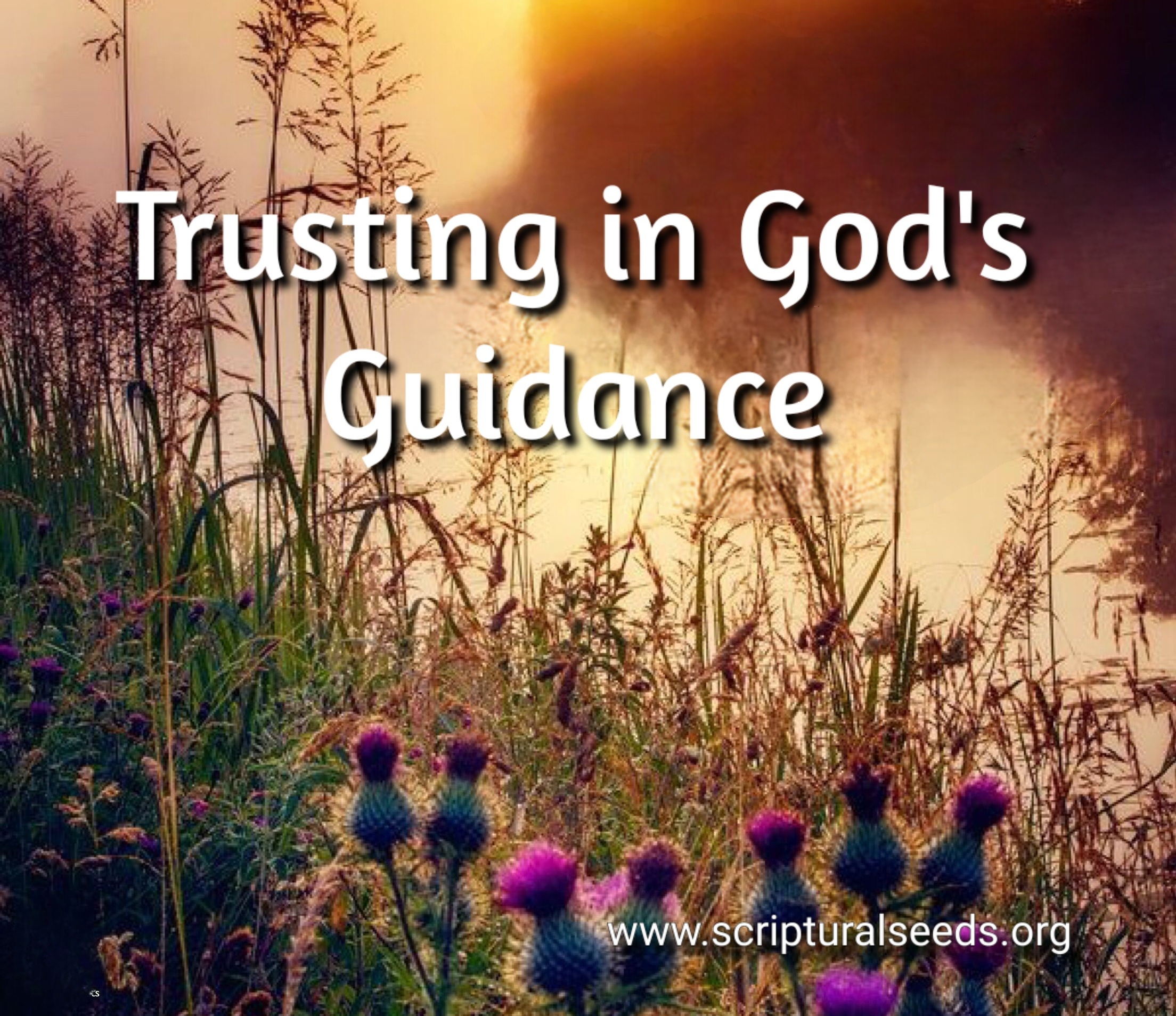 July 8th 2023 – Trusting in God’s Guidance | Scriptural Seeds ...