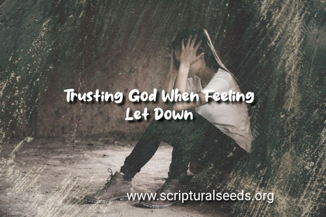 July 11th 2023 – Trusting God When Feeling Let Down | Scriptural Seeds ...