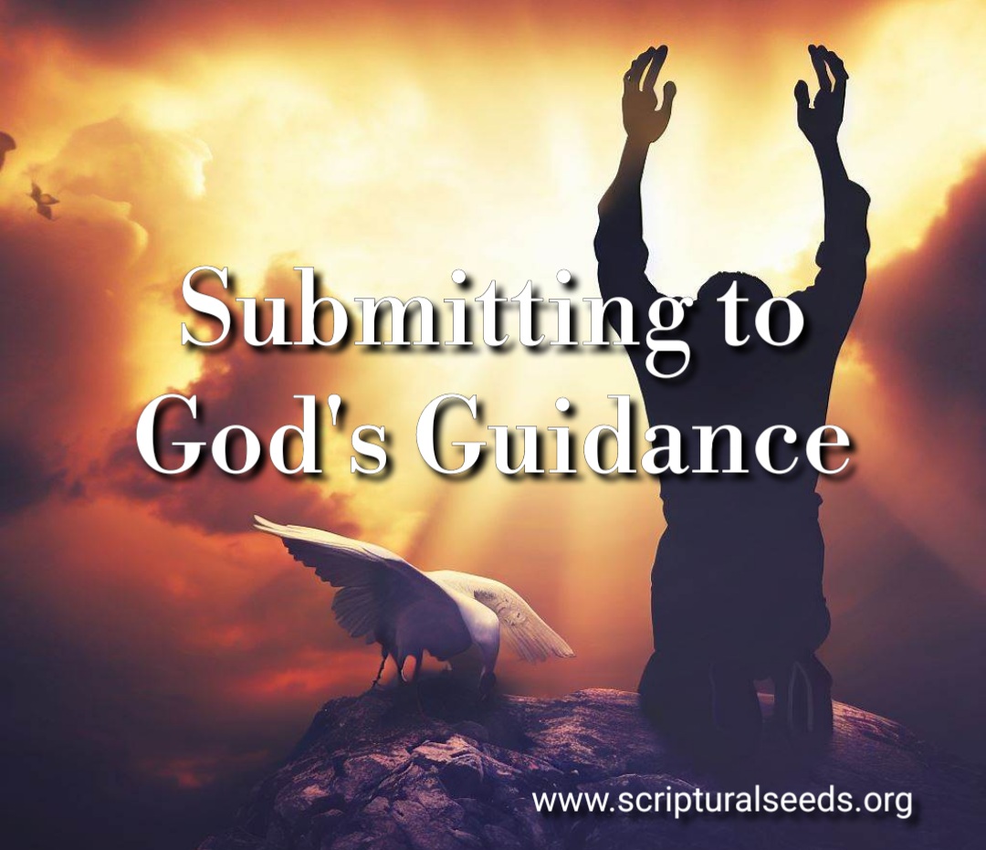 July 14th 2023 – Submitting to God’s Guidance | Scriptural Seeds ...
