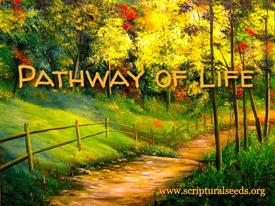 December 23rd 2023 – Pathway of Life | Scriptural Seeds