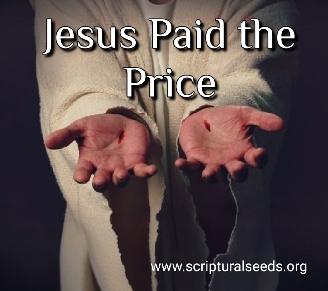 March 11th 2025 – Jesus Paid the Price | Scriptural Seeds