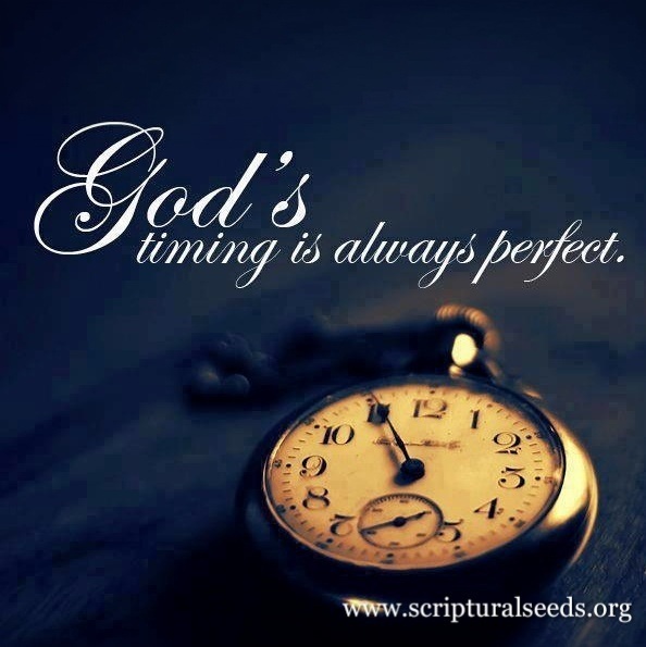 May 24th 2025 – God’s Timing Is Always Perfect | Scriptural Seeds