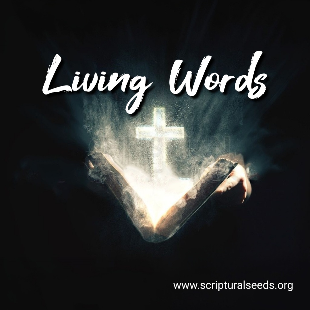 May 25th 2025 – Living Words | Scriptural Seeds