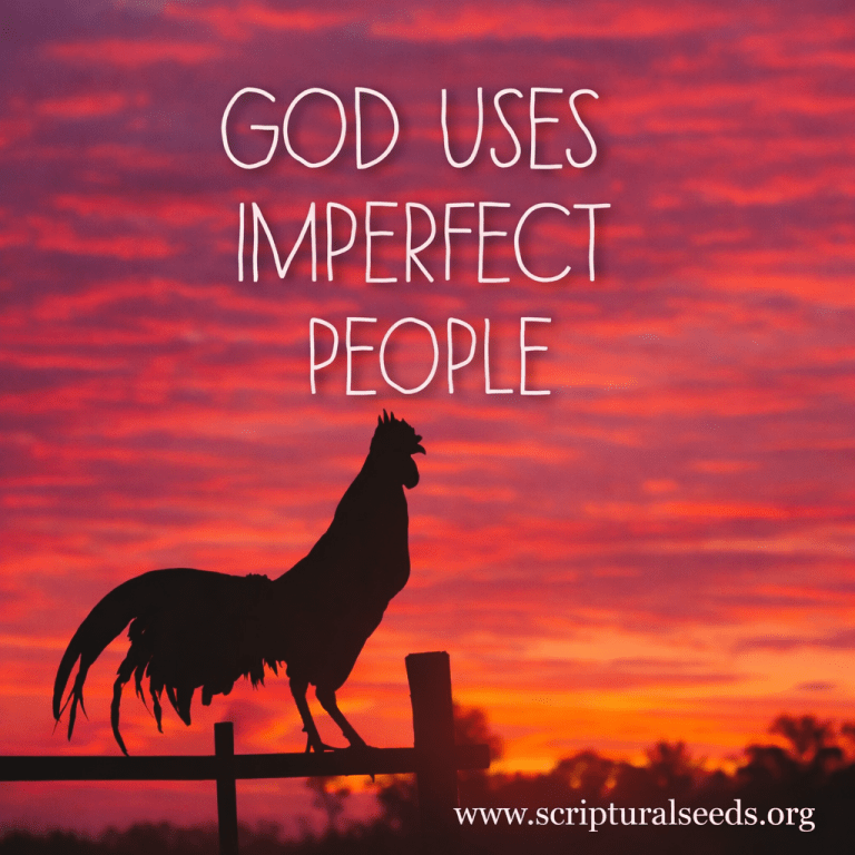January 13th 2026 – God Uses Imperfect People | Scriptural Seeds
